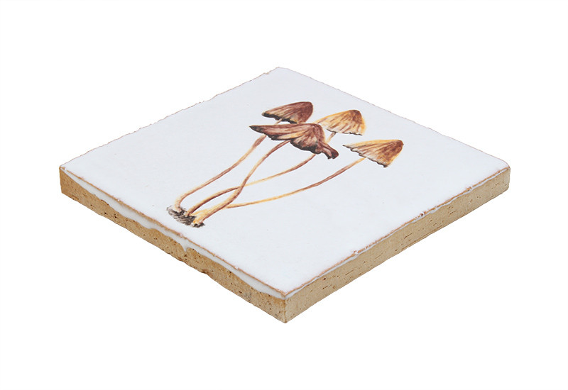 Collection patterned wall tiles : The mushrooms